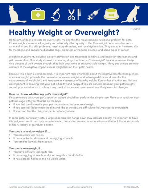 Education Resources | MCHA