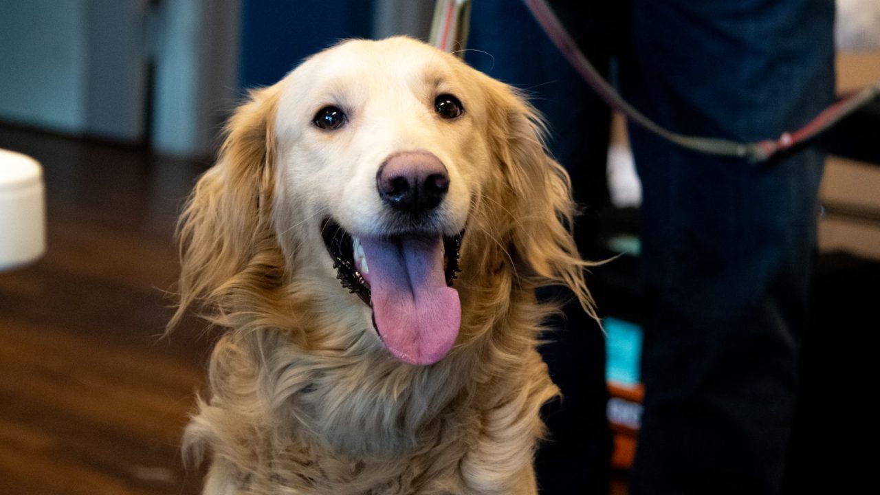 Mobile Vaccine Clinics | MCHA